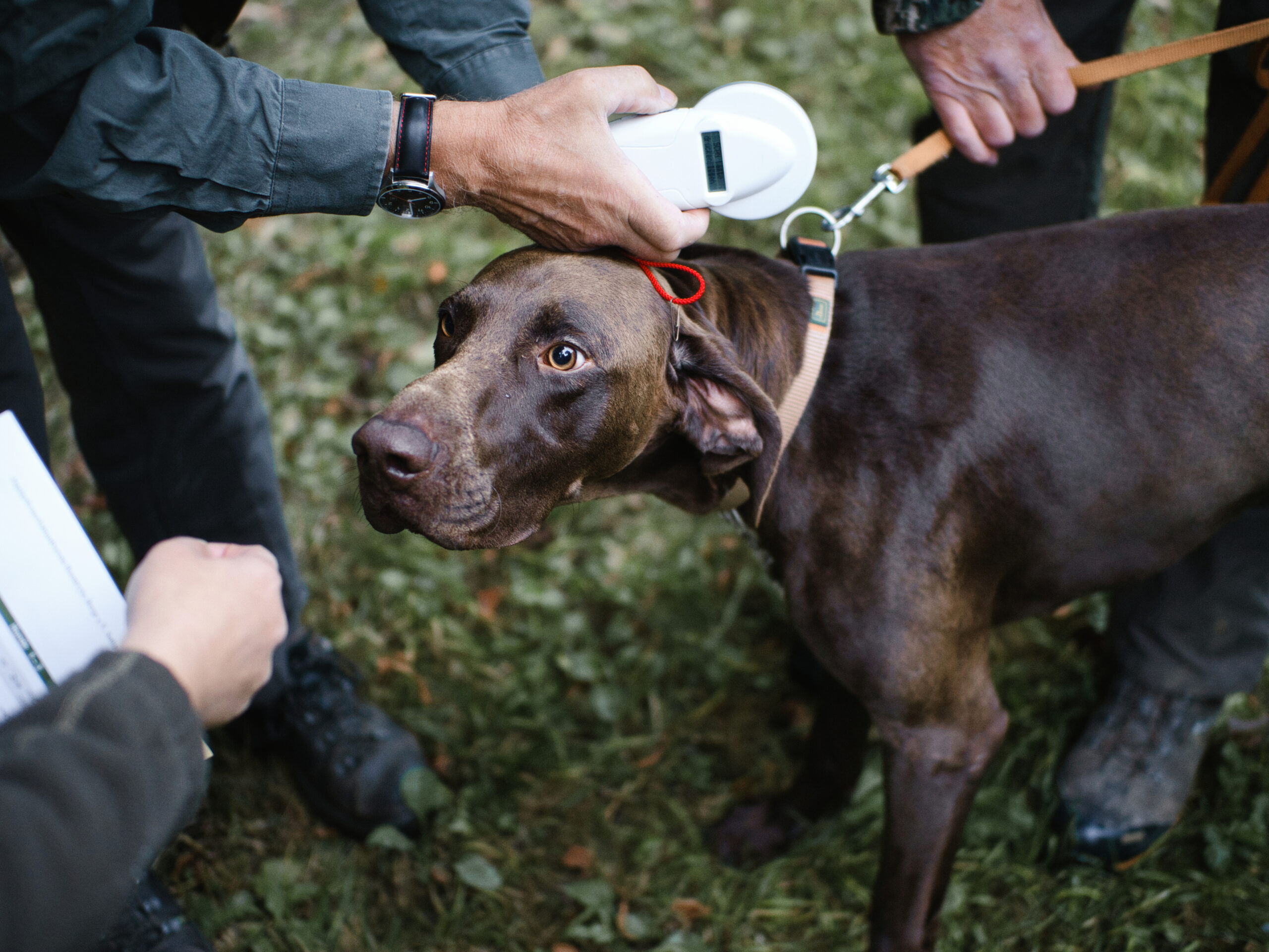 BP§7 2025 II - JGV Roemryke Berge e.V. Solingen